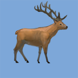 Week 28-30 | Feudums